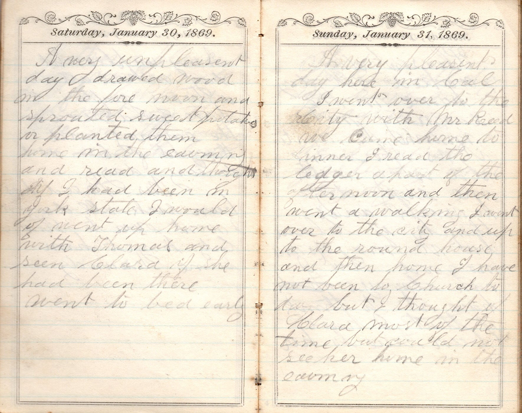 Diary of a Sacramento, California plant nursery farmer. | G. H. Dougan
